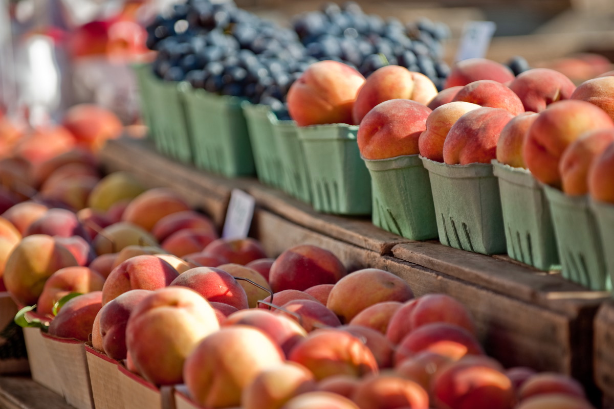 Health Services - HAPCAP